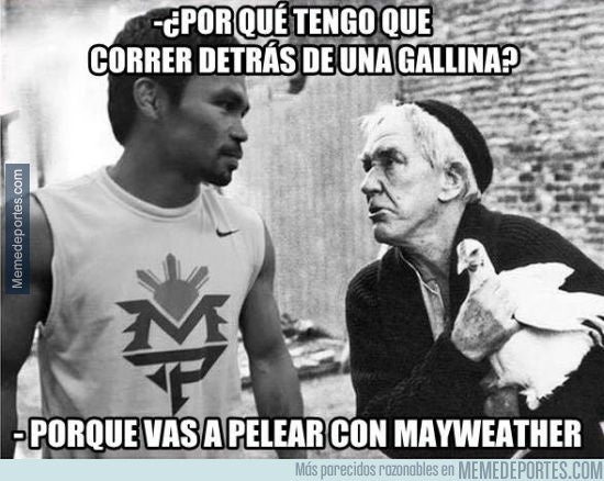Los mejores memes del combate de boxeo Mayweather VS Pacquiao - ideal.es