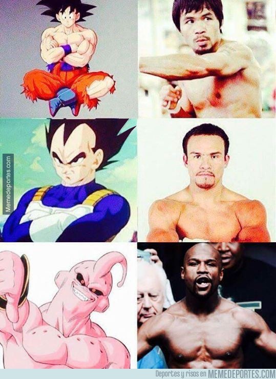 Los mejores memes del combate de boxeo Mayweather VS Pacquiao - ideal.es