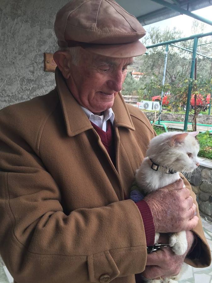 Kunkush, el 'gato refugiado' que se reencontró con su familia tras ...