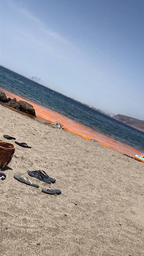 Microalgas y huevas tiñen la playa de naranja | Ideal