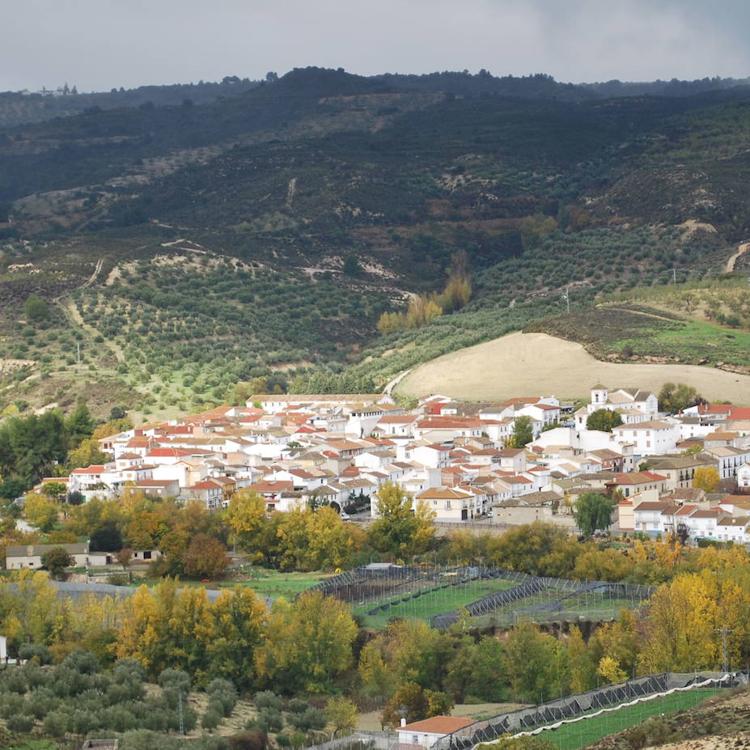 Arenas del Rey | Ideal