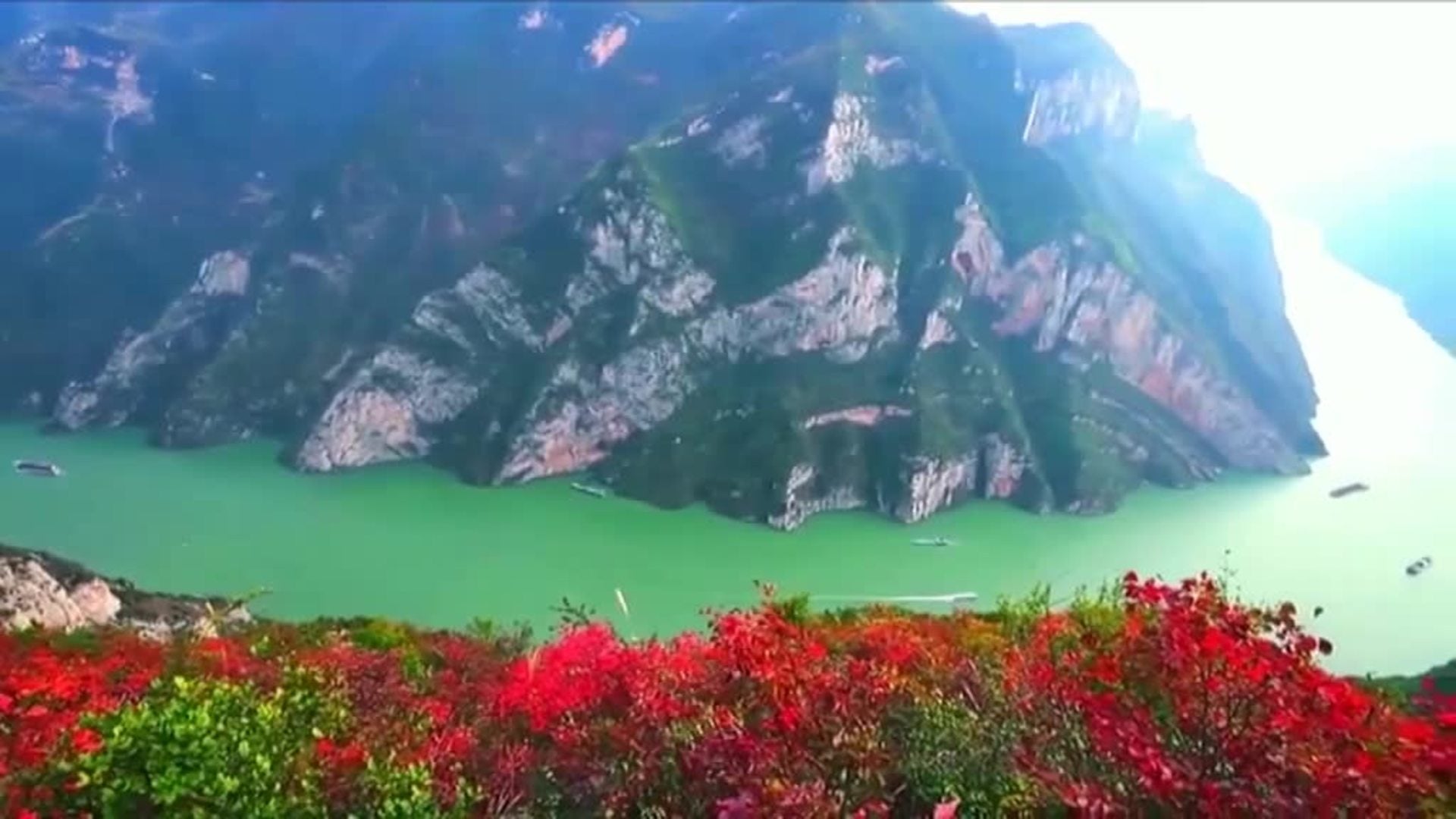 El río Yangtze de China, el más largo de Asía, recupera sus especies y ...