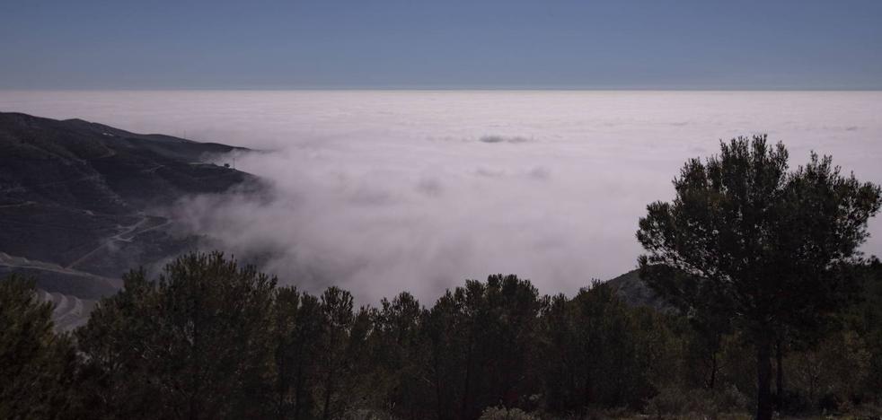 Tiempo y Aemet: Llega la niebla a Andalucía: los municipios que ...