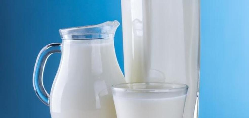 Las mejores leches del supermercado según explica la OCU | Ideal